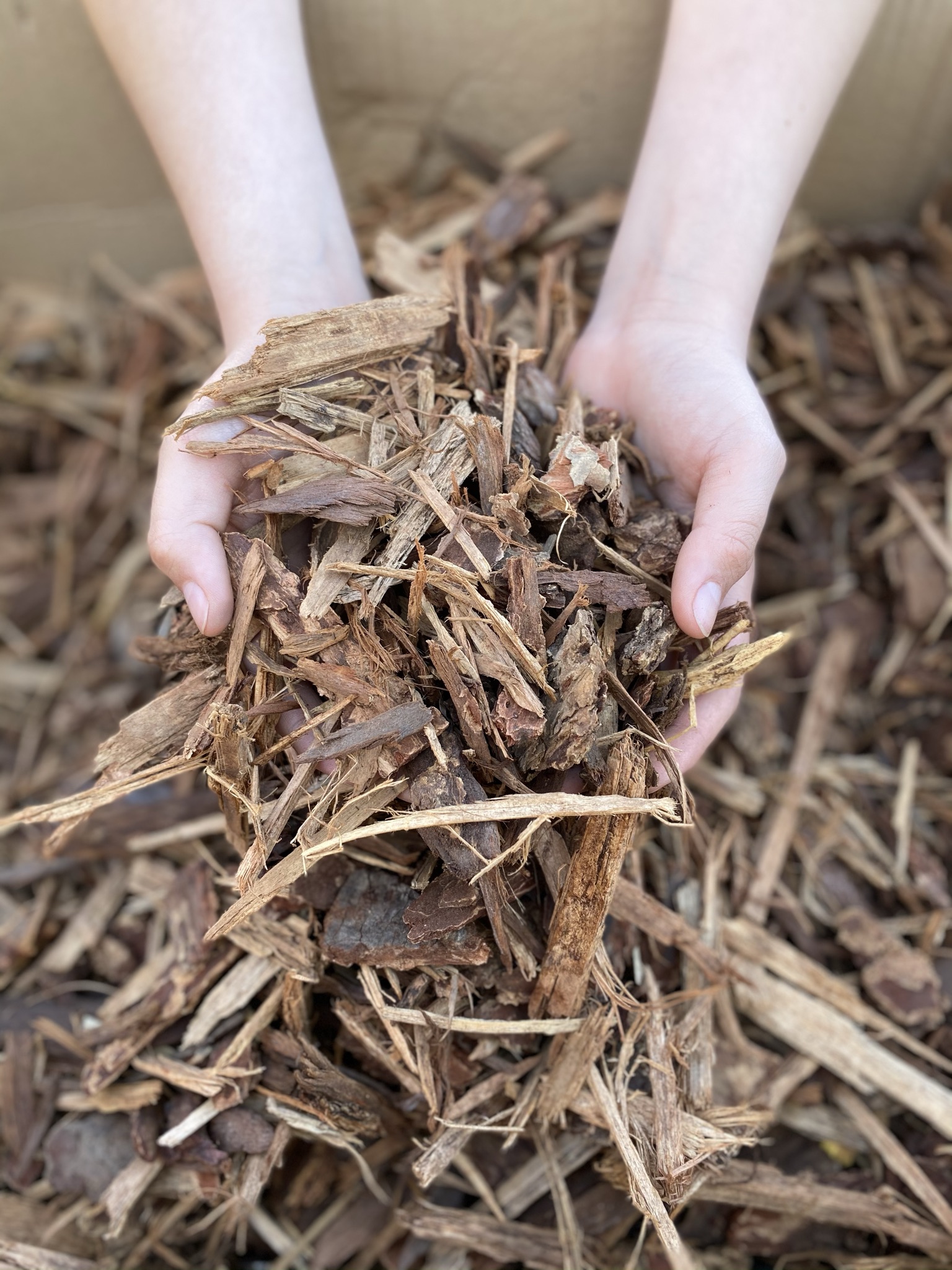 Walk on Bark – Plant's Choice, Inc.