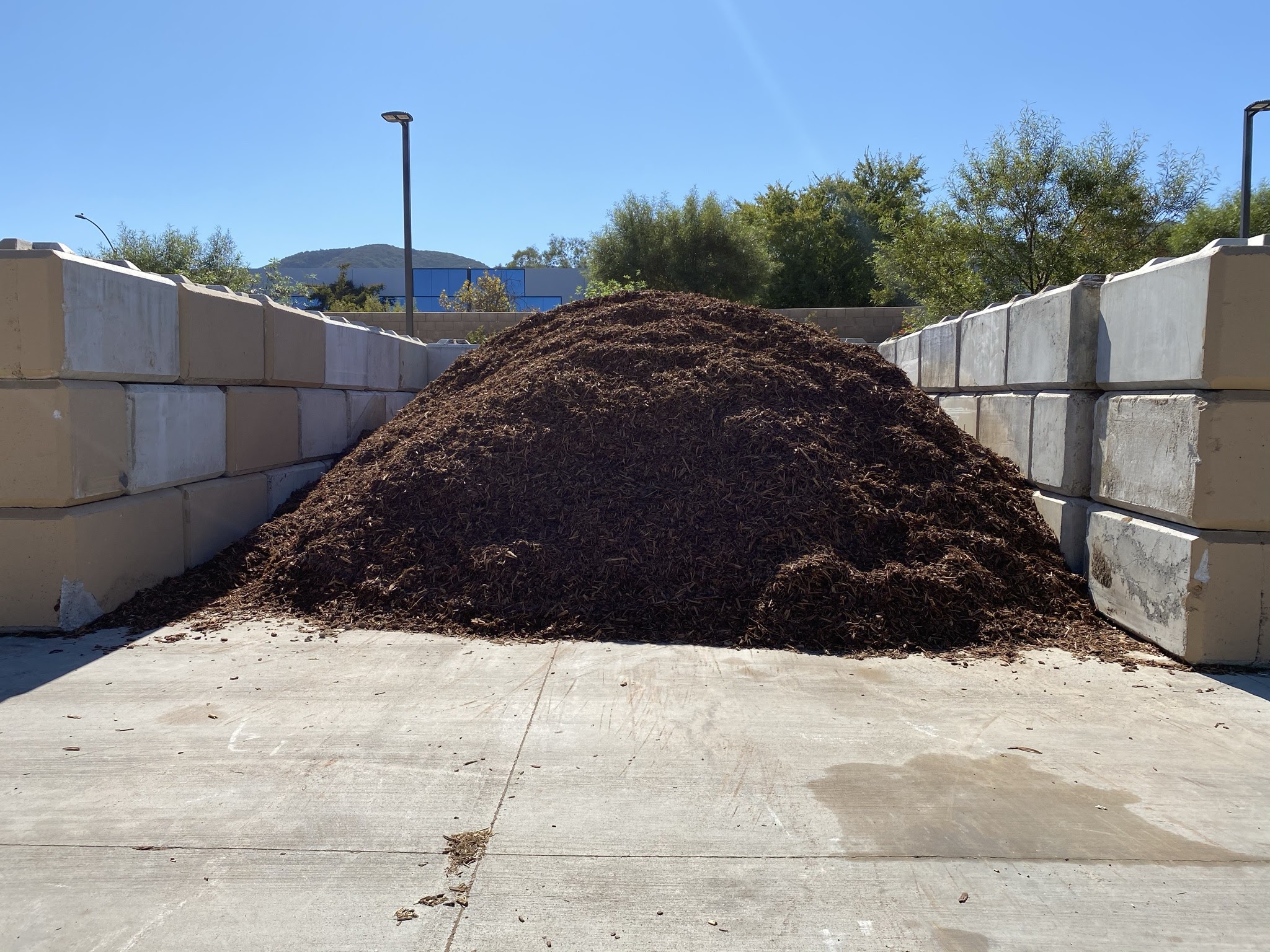 Walk on Bark – Plant's Choice, Inc.